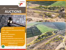 Find Auctioneers KwaZulu-Natal