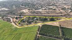 Find Auctioneers KwaZulu-Natal